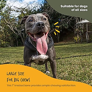 Beefeaters Dog Treats - Large Knotted Bone 7" Chicken Flavor 1ct, Case of 12 | Rawhide Free Dog Food | Real Chicken, No Artificial Flavors | Dental Cleaning Chew | Training Treats for All Dog Sizes