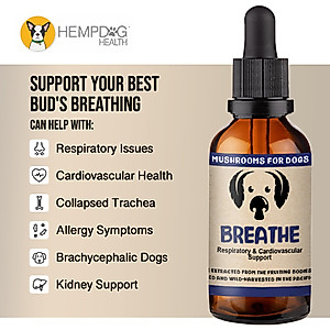 MycoDog Breathe Mushroom Extract & Adaptogen Tincture for Canines - Mushroom & Ashwagandha Supplements for Dogs with Breathing Challenges - Reishi Mushroom, Chaga, Cordyceps Mushroom & Artist Conk