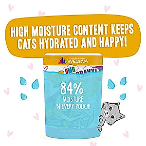 Weruva B.F.F. OMG - Best Feline Friend Oh My Gravy!, Tuna & Turkey Tickles with Tuna & Turkey in Gravy Cat Food, 3oz Pouch (Pack of 12)