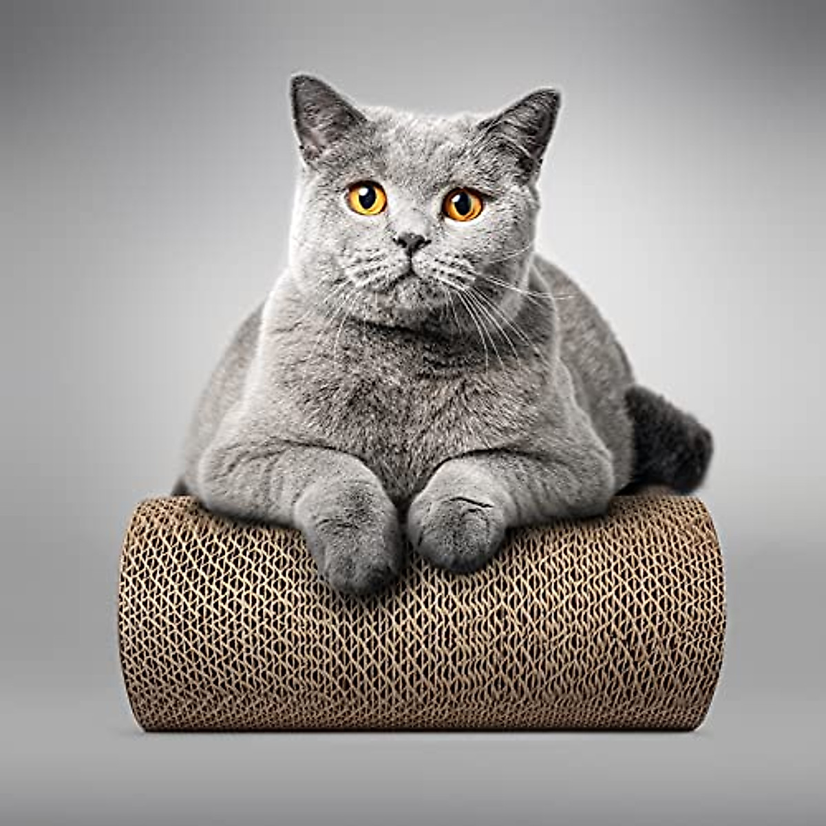 CatGuru Cat Scratcher, Reversible Cat Scratching Pad, Cardboard Cat Scratching Post, Premium Cat Scratch Pad, Durable Cat Scratchers, Cat Scratching Bed, Cat Scratcher Lounge (XXL)