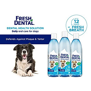 Naturel Promise Fresh Dental Water Additive - Dental Health Solution for Dogs - Easy to Use - Helps Clean Teeth - Freshens Breath Up to 12 Hours - No Brushing Required - 18 Fl Oz, 3 Pack