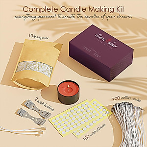 Etienne Alair Natural Soy Wax Kit - Includes; 10 Lbs Soy Candle Wax Flakes, 100 Cotton Wicks, 2 Wick Holders.