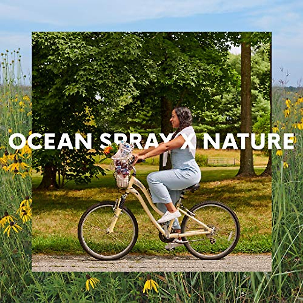 Ocean Spray® Craisins® Pomegranate, Dried Cranberries Infused with Pomegranate Juice, Dried Fruit, 6 Oz Pouch (Pack of 1)