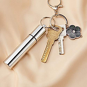 Portable Mini Pocket Titanium Toothpick Holder with 10 Pieces Reusable Titanium Toothpicks Waterproof Toothpick Case Toothpick Fruit Picks with Keyring for Outdoor Picnic Camping Traveling Supplies