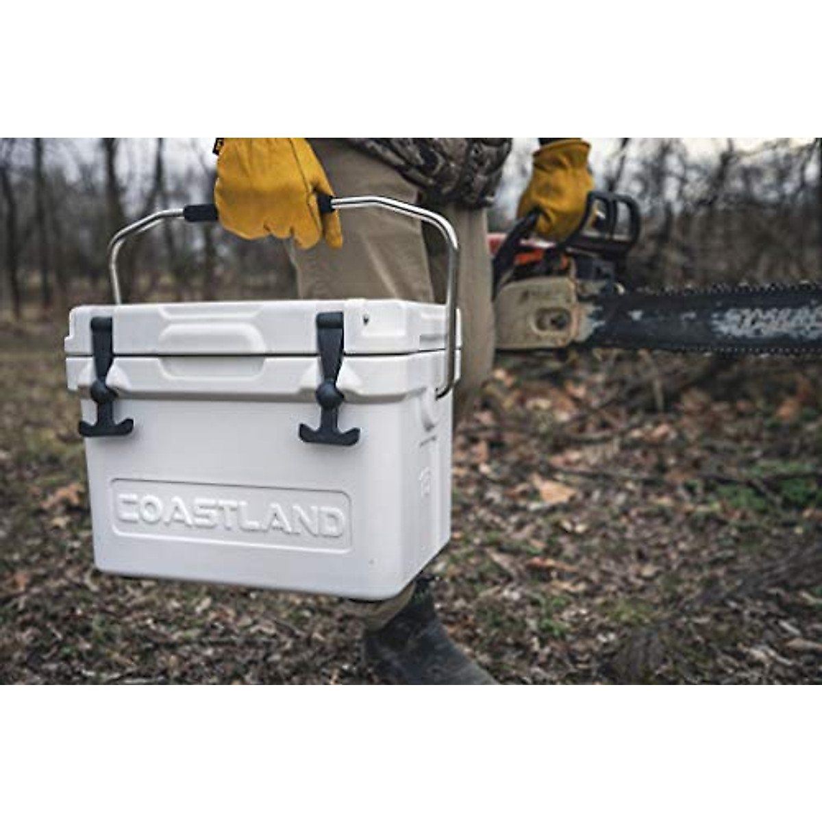 Coastland Bay Series 15 Quart Cooler Premium Lightweight Everyday Use Insulated Cooler, white (CB15)