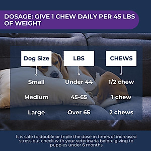 Dogletics Calm & Relax Soft Chew Supplements for Dogs - Reduce Stress & Anxiety, Behavioral Support, Promote Rest & Relaxation for Active Dogs