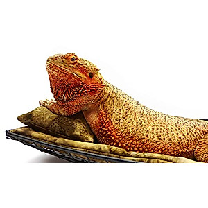 Chaise Lounge for Bearded Dragons, Brown Batik Fabric