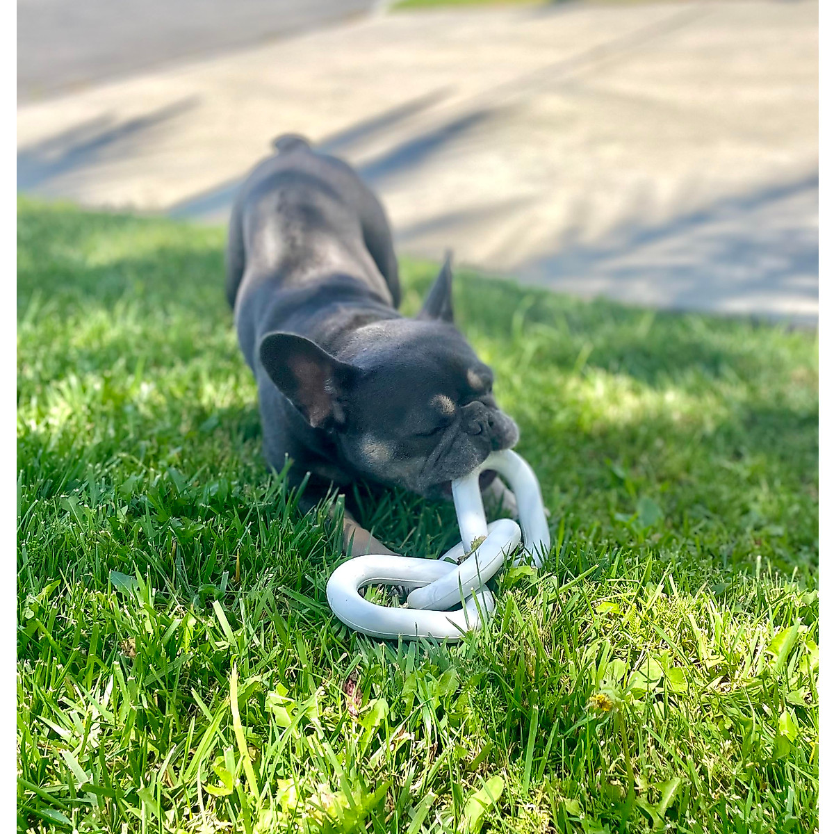 Tug of War Dog Chew Toy - Natural Rubber Heavy Duty Marble Links - Neutral Aesthetically Pleasing Puppy Chew Toys for Small, Medium or Large Dogs (White & Gray Marble)