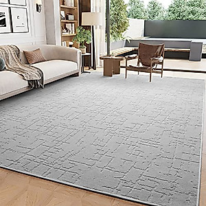 Area Rug-5x7 Rug for Living Room Contemporary Durable Carpet-Washable Rug Suitable for Living Room Bedroom Dinning Room Laundry Room Study Room