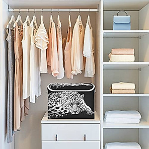 Kigai Leopard Cheetah Black Storage Basket with Lid Collapsible Storage Bin Fabric Box Closet Organizer for Home Bedroom Office 1 Pack