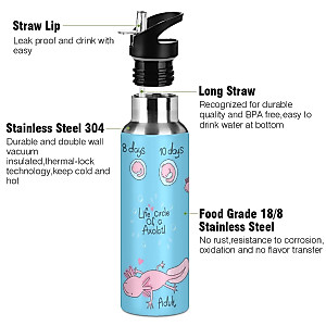 Glaphy Cute Funny Axolotl Blue Water Bottle with Straw Lid, BPA-Free, 32 oz Water Bottles Insulated Stainless Steel, for School, Office, Gym, Sports, Travel