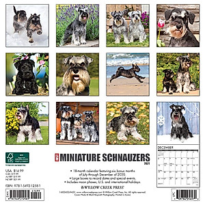 Just Miniature Schnauzers 2021 Wall Calendar (Dog Breed Calendar)