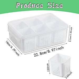 Rxsdeni Salad Bar Containers for Fridge,Reusable Kitchen Scallion Storage Box,Fresh Keep Container,Clear Berry Containers with Removable Dividers,for Ginger Scallion Fruit Lettuce Vegetables Meat