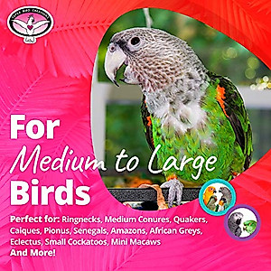 Super Bird Creations SB301 Chewable Paper Party Bird Toy with Colorful Lollipop Sticks, Large Size, 6.5” x 1.5” x 1.5”,Varies