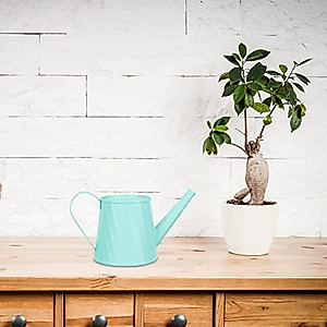Happyyami Succulent Kettle Flowerpot Flowers Decoration Metal Pitcher Kids Mini Toys Flower Water Pot Mini Watering Can Small Watering Can Kettle for Watering Gardening Tool Kids Toy Plant