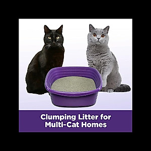 Arm & Hammer Slide Cat Litter - Clumping Multi-Cat, 38 lbs.