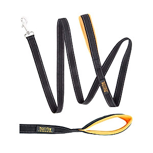 Mighty Paw Dog Leash - Reflective Design with Comfortable Padded Handles - Dog Walking Leash - Unchewable Dog Leash - Dog Leash Comfort Handle - Premium Leash for All Dog Sizes - 6 Feet (Black/Orange)