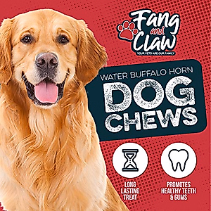 Water Buffalo Horn Dog Chew 4 Pack - Small 4" - All Natural Free Range Grass Fed Single Source Protein - No Chemicals, Additives, Hormones - Long Lasting, Good for Aggressive Chewers