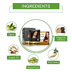 Herbishh Hair Color Shampoo Pouch/Sachte Combo Pack of Two for Gray Hair (Black) With Moroccan Argan Hair Shampoo + Hair Conditioner Kit