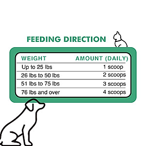 American Standard Supplements Green Lipped Mussel Powder for Dogs & Cats - Joint & Mobility Support - 3.17 oz (90g)