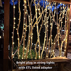 LE 306 LED Curtain Lights with 18 Hang Down String Lights, 10×10 ft Plug in Hanging Fairy Lights for Bedroom Wall Window, Twinkle Lights for Wedding Backdrop Patio Gazebo Pergola (NOT Connectable)