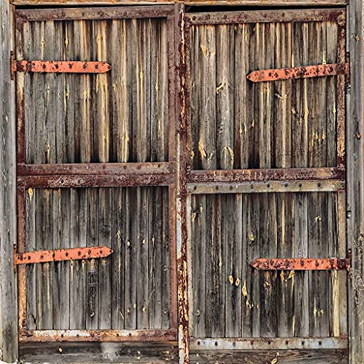 DALEM Soft Fleece Throw Blanket - Fluffy Microfiber Solid Blankets for Bed and Couch Double/Single Size - 59X79Inch Iron Wooden Door Printed Flannel Blanket for Bed, Couch and Sofa