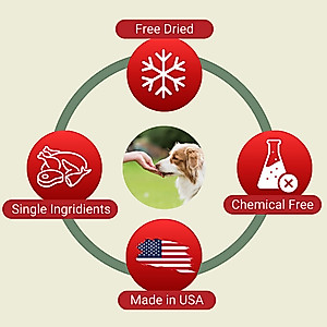 My Pet Carnivore Duck Feet for Dogs All Natural Dog Chew Single Ingredient Dehydrated Duck Feet Without Nails Strengthens Muscles, Immunity, and Digestion (10 PCs)