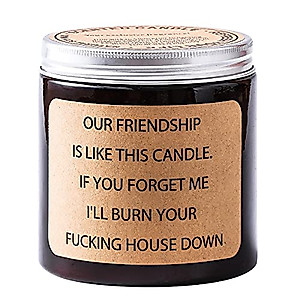 PMCDS2G Scented Candles Best Gift for Men & Women Birthday 14oz 100hour Long Burn Time Lavender Fragrance (Our Friendship is Like This Candle. IF You Forget ME I'll Burn Your FXXKING House Down.)