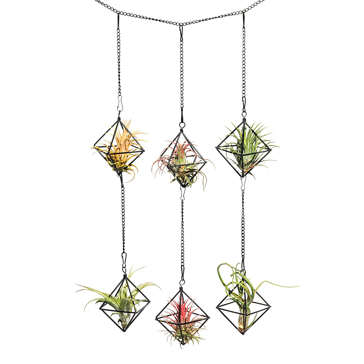 libproqia Small Air Plants Holders Black Hanging Airplants Hangers Iron Wire Airferns Display Frame Geometric Tillandsia Air Planter with Chains for Wall Mounted Himmeli Decor 6pcs(No Plants)