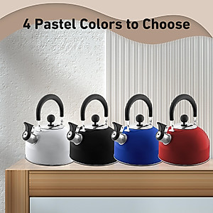 Lily's Home 2 Quart Stainless Steel Whistling Tea Kettle, the Perfect Stovetop Tea and Water Boilers for Your Home, Dorm, Condo or Apartment. (Black)