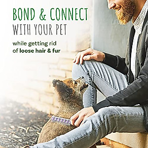 Small Pet Select - Hair Buster Comb for Rabbits, Cats and Dogs, Metal Pet Comb for Shedding and Detangling, Grooming Tool for Small Pets with Long and Short Fur