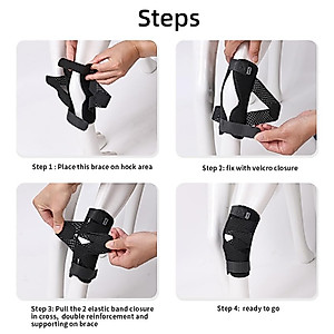 (S/M) Dog Leg Brace for Back Leg, Canine Hock Brace for Rear Legs with Dual Metal Strips, Joint Warps Strong Support Help for Hind Leg Injuries Sprains Arthritis Torn ACL(1Pair)