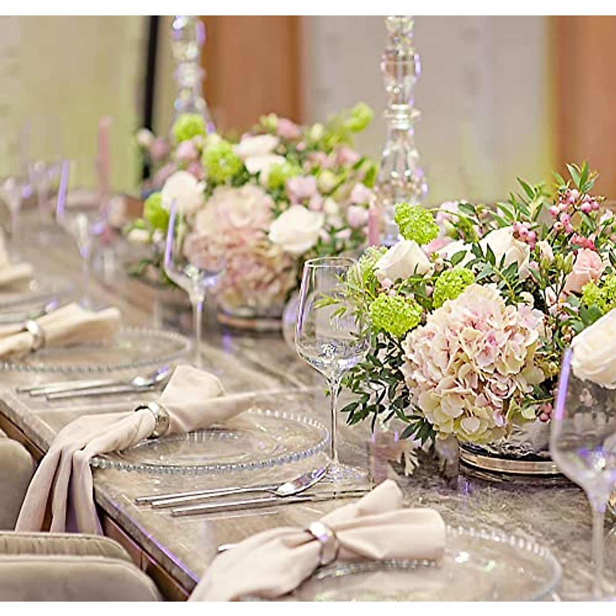 Lawei 6 Pack Clear Plastic Charger Plates with Bead Rim, 13 Inch Plastic Round Serving Plates Decor Dinner Plates for Party Wedding Events Dinner Decoration