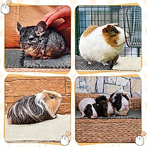 10 Pieces Guinea Pigs Blankets Hamster Fleece Cage Liners Soft Guinea Pig Accessories Small Animal Pet Blanket Sleep Bedding Mats Pet Supplies for Dog Puppy Cat (Gray, Beige,11.8 x 11.8 Inch)