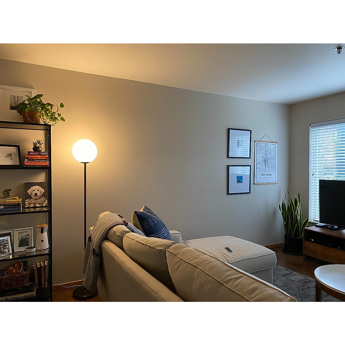 Brightech Luna LED Floor lamp, Modern Lamp for Living Rooms & Offices Bundled Luna Drop LED Floor Lamp, Frosted Glass Globe Arcing Living Room Lamp, Mid-Century Modern Standing Lamp