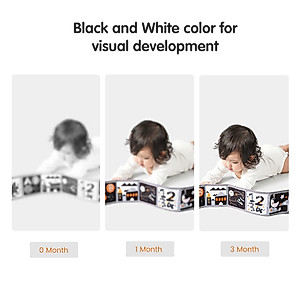 TUMAMA Baby Rattle Toy & Soft Book Set, Black and White High Contrast Tummy Time Animal Plush Hanging Toys with Mirror,Early Educational Toys for Infant 0 3 6 9 12 Months