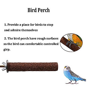 WoYous Bird Cage Mirror, 2 Pieces Parrot Double Side Mirror Swing Wooden Hanging Bird Mirror and Bird Prech for Little Macaws Lovebird Cockatoo Parakeet Finch Cockatiel (C)