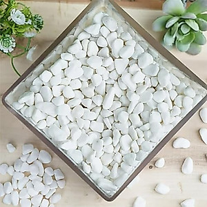 npkgvia White Gravel Pebble Stones Vase Fillers Potted Decorative Stone Garden Ornaments Ornament Bulk (White, One Size)