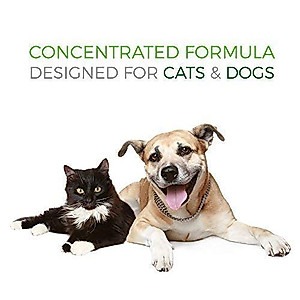 Pet Vitamin Co - Krill Oil Shed-Free Soft Chews for Dogs - Reduce Shedding & Itching - Rich in Omega 3 & Antioxidants - Improves Skin & Coat - Made in USA - 60 Soft Chews