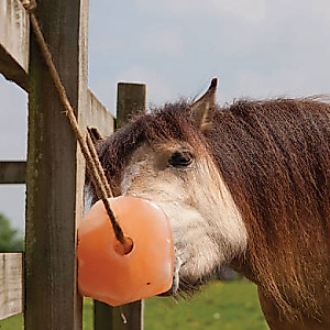 Yield Titan Himalayan Pink Salt 14 LB, Salt Licks for Animals Licking Block for Horses, Cows, Deer, and Other Livestock - Rope Included 3.5Lbs Each(4 Qty)