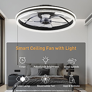 MIDIT Ceiling Fan with Light FSD01-Black