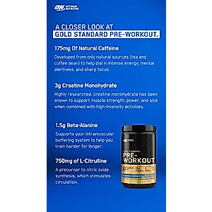 Optimum Nutrition Gold Standard Pre-Workout Fruit Punch 300g