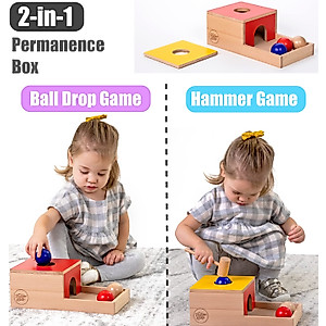 Pidoko Kids Montessori Toys for 1 Year Old - Wooden Object Permanence Box - Shape Sorter Toys for Toddlers 1-3 | Sensory, Learning & Developmental Baby Toys 12-18 Months - 1st Birthday Gifts Boy Girl