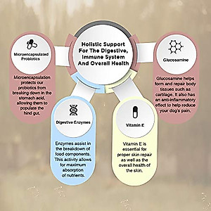 Animal Health Solutions - Spunky Level II, Joint Aid that Helps Digestion for Any Dog (1 pound)