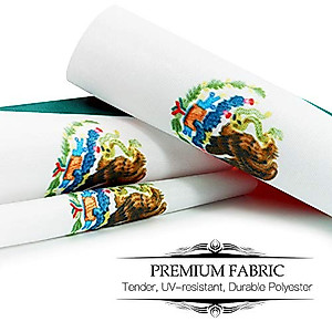 Anley Mexico Deluxe Desk Flag Set - 6 x 4 Inch Miniature Mexican Desktop Flag with 12" Solid Pole - Vivid Color and Fade Resistant - Black Base and Spear Top