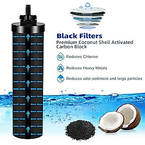 Water Filter Replacement Water Filtration System, Fluoride Filters 2 Pack and Black Filters 2 Pack