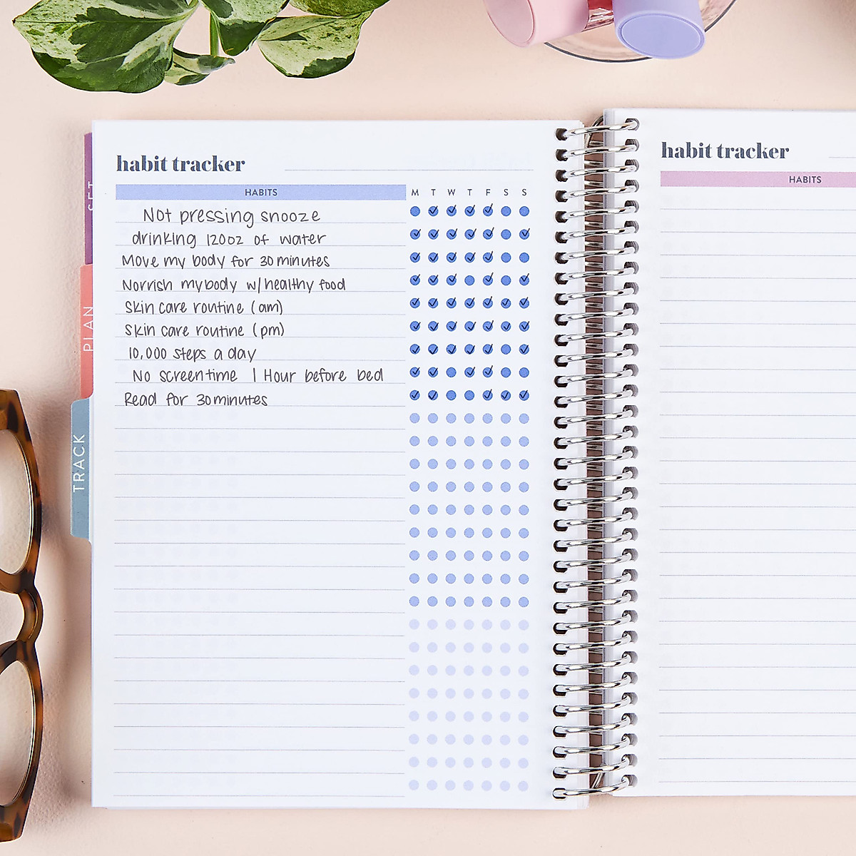 A5 Coiled Productivity Planner | All-in-One Project Checklists, Habit & Progress Trackers, Monthly Check-in's, Organizer & Journal | 160 pages, 80 lb. Mohawk Premium Paper, Designed by Erin Condren