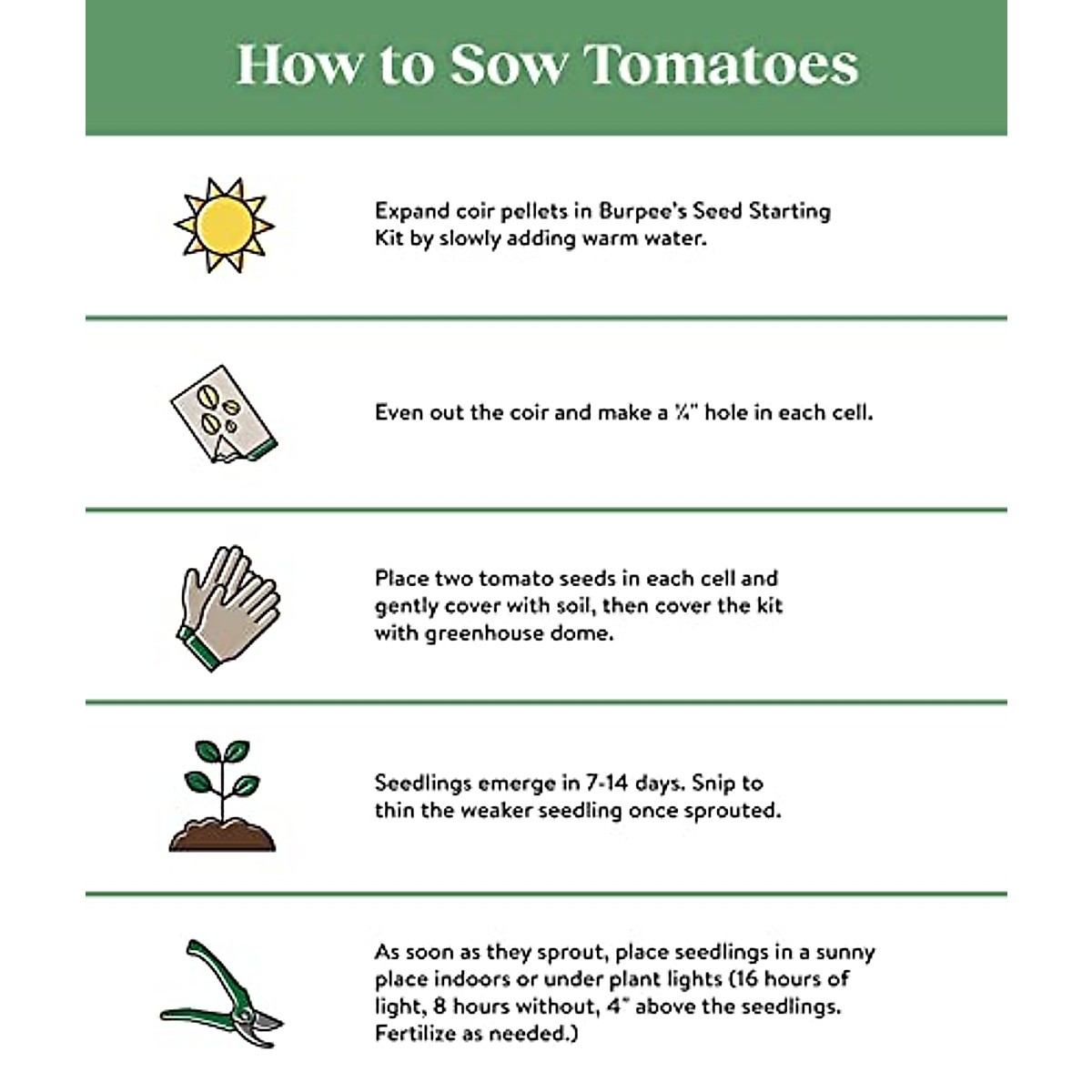 Burpee Celebrity Hybrid Tomato Seeds | Red Tomato Slicer | 35 Non-GMO Seeds for Planting | Disease-Resistant and Award-Winning Variety | Big Juicy Tomato for Summer Sandwiches