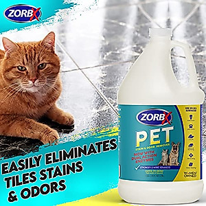 ZORBX Pet Stain and Odor Eliminator for Strong Odor - Dual Action Natural Enzymes Pet Odor Neutralizer & Stain Remover for Dog & Cat Urine | Carpet Cleaner Spray - 128 FL Oz (1 Gallon)