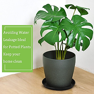 Eccliy 12 Pcs Plastic Plant Saucers Round Plant Tray Large Flower Plant Pot Saucer Heavy Duty Planter Water Trays Thick Plant Drip Saucers for Indoors and Outdoors (Black, 16 Inch)